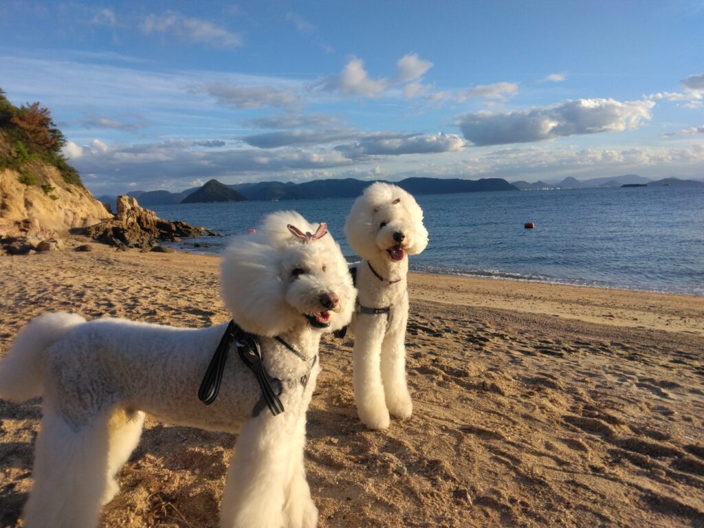 STEP EQT正規取扱店『EQT1』をオープンしました。 | STEP EQT 歩けるくん